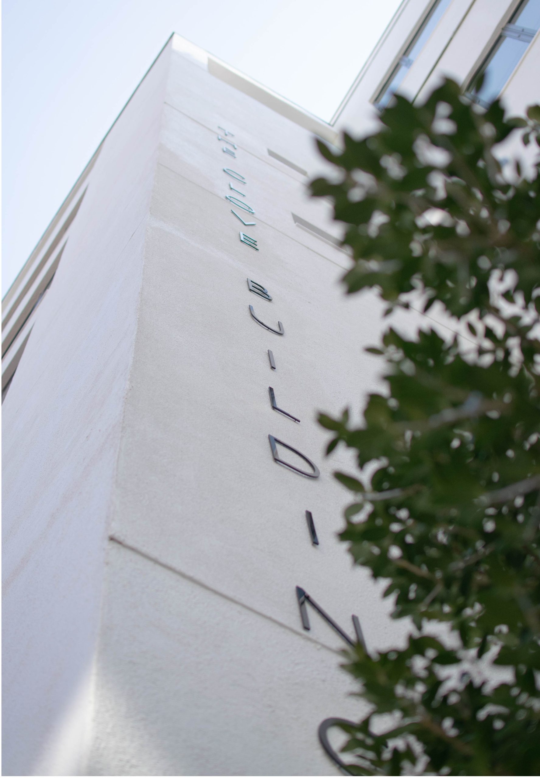 The Clove Building - Elena Kidman Design